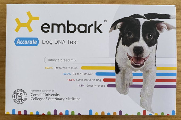 Embark Dog DNA Test Helps Us Learn About Gus from GoFatherhood®